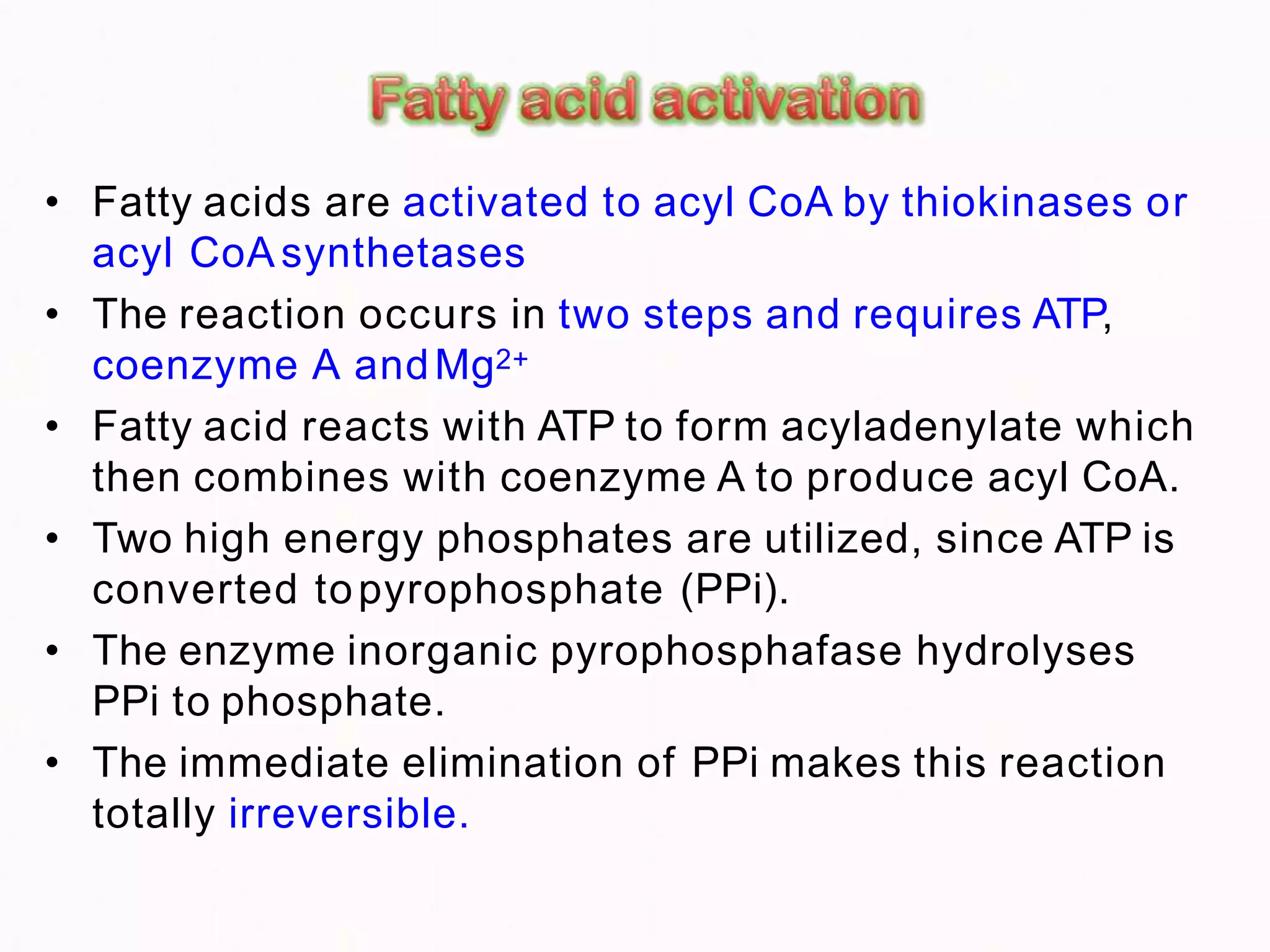oxidation of fatty acids (palmitic acid).pptx