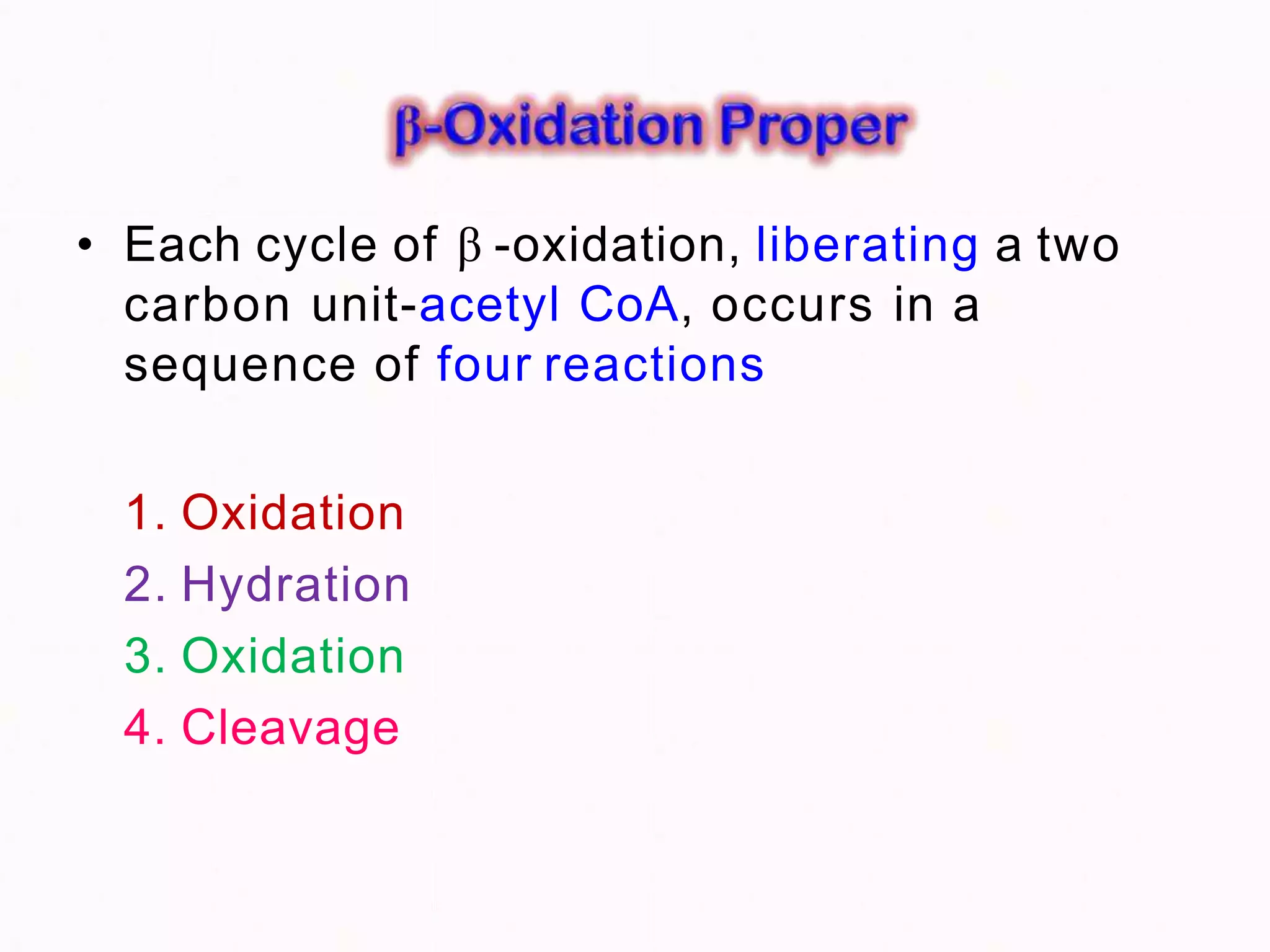oxidation of fatty acids (palmitic acid).pptx