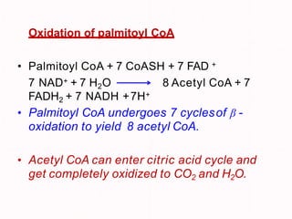 oxidation of fatty acids (palmitic acid).pptx