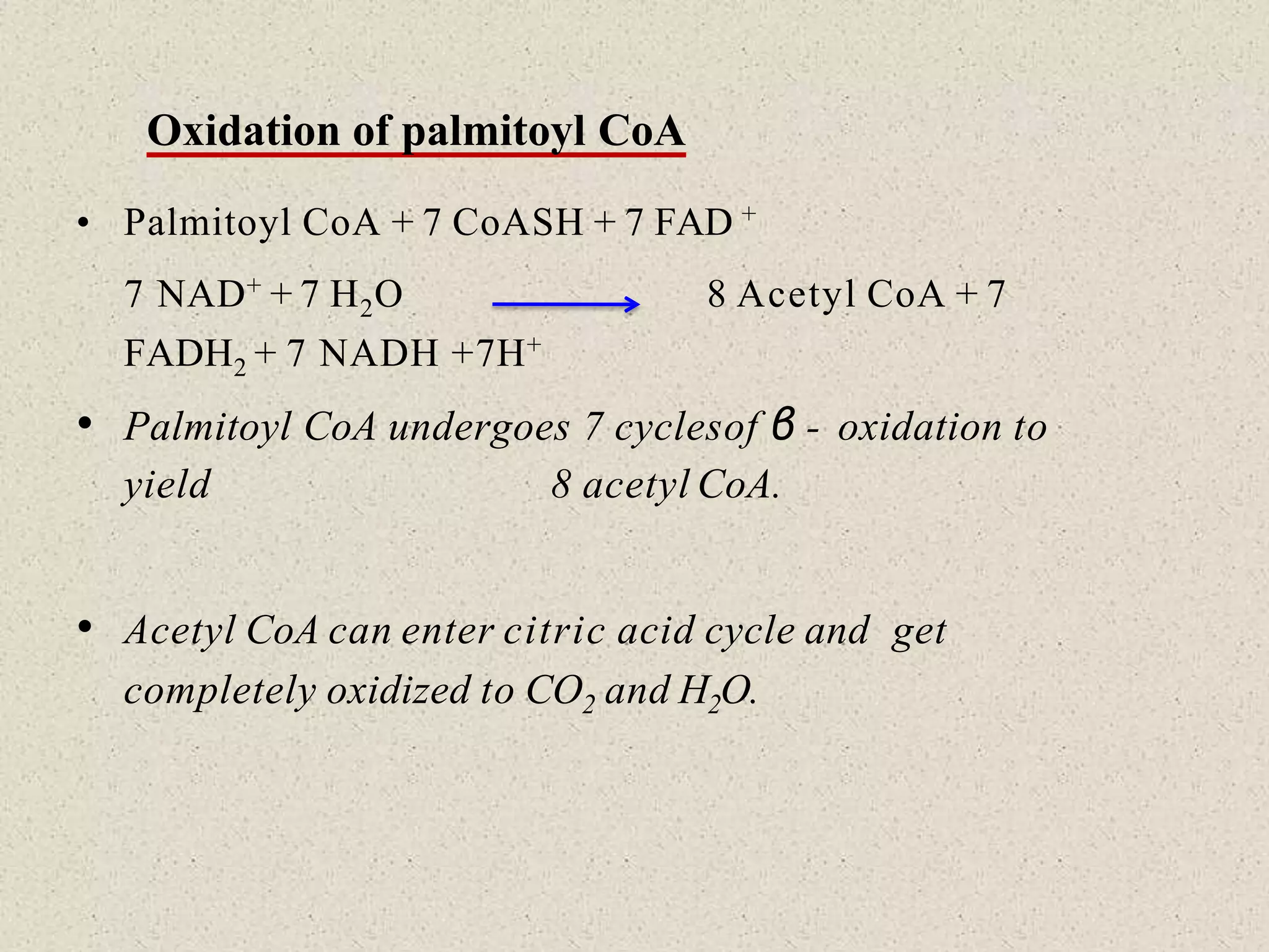 Oxidation of fatty acids ppt mth | PPTX