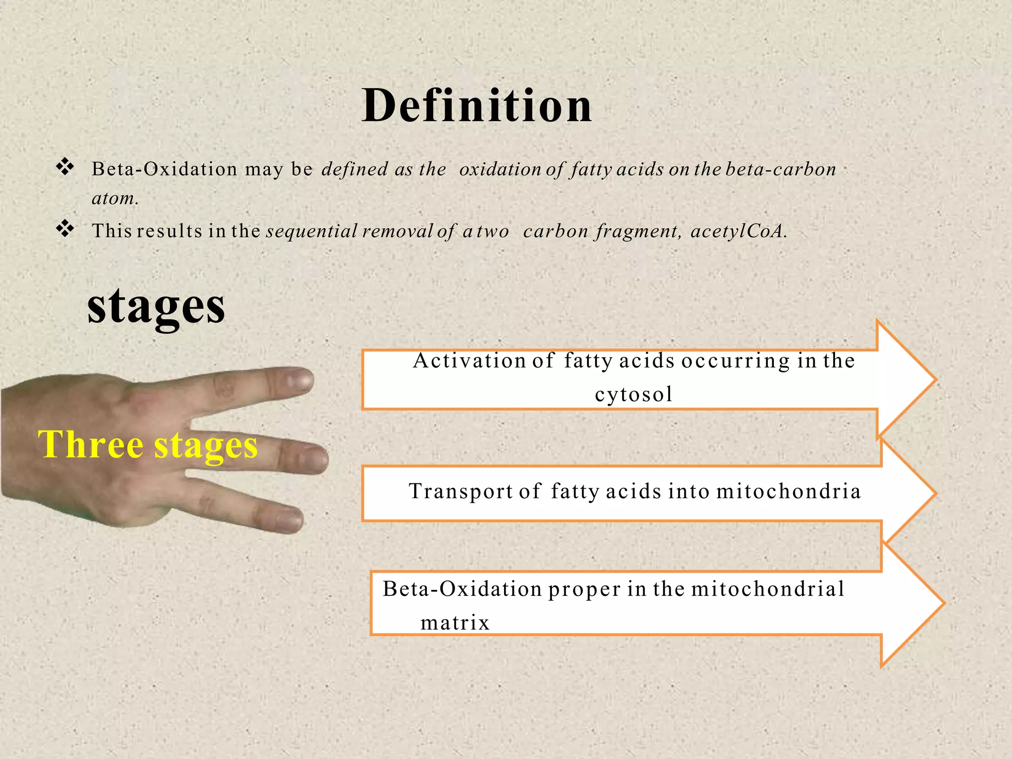 Oxidation of fatty acids ppt mth | PPTX