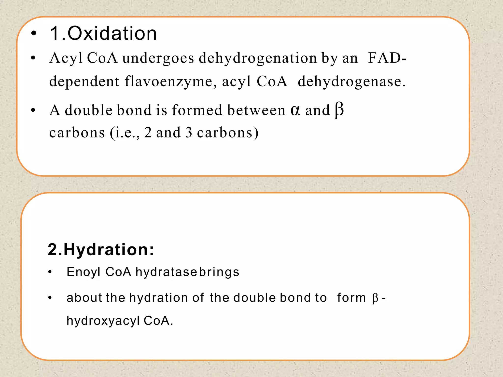Oxidation of fatty acids ppt mth | PPTX