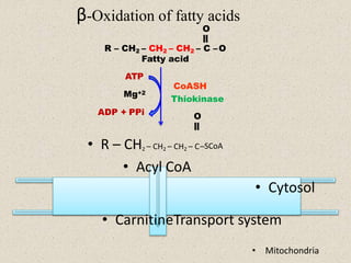 Oxidation of fatty acids ppt mth | PPT