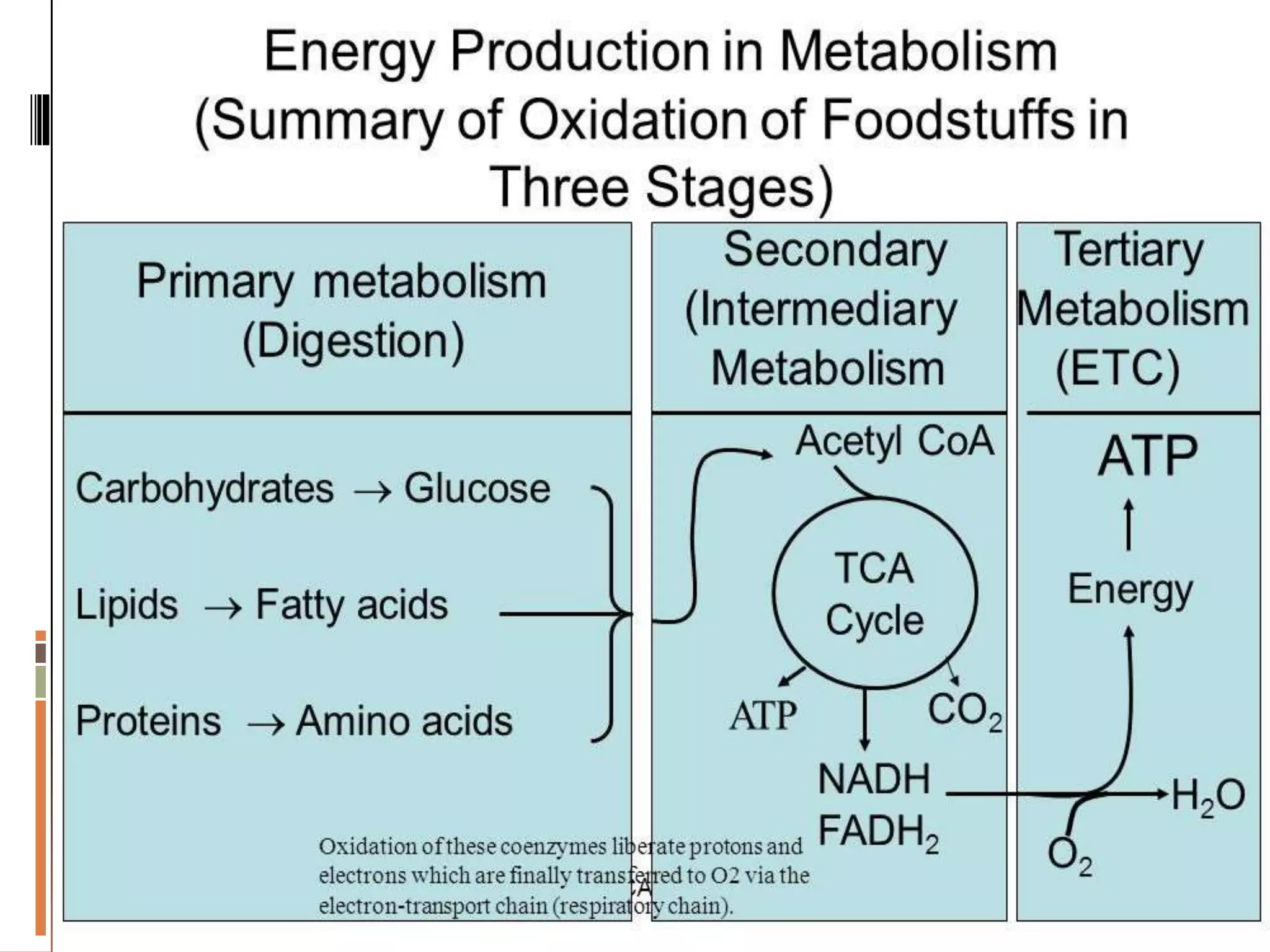 Oxidation of food stuffs and redox potentials | PPTX