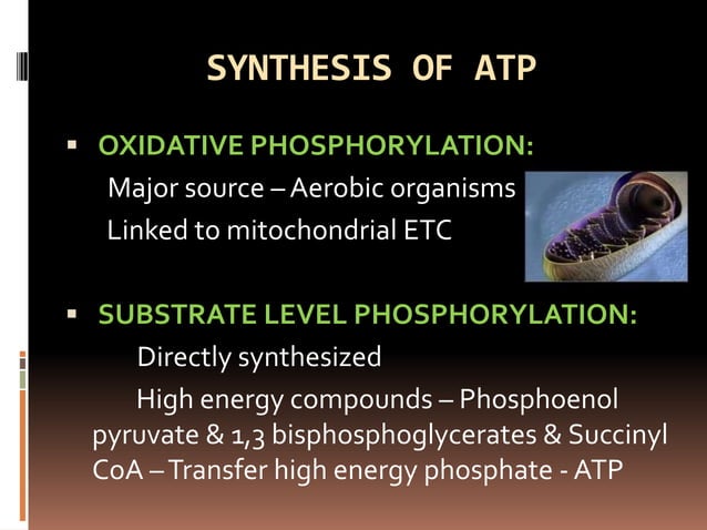Oxidation of food stuffs and redox potentials | PPTX