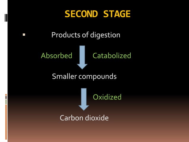 Oxidation of food stuffs and redox potentials | PPT