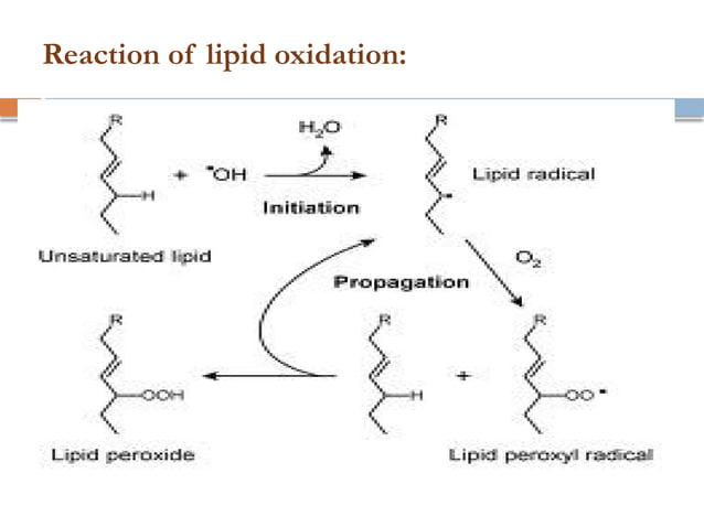 The Oxidation process_of_Lipids_ppt.pptx