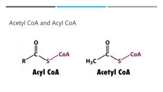 Oxidation of lipids | PPTX