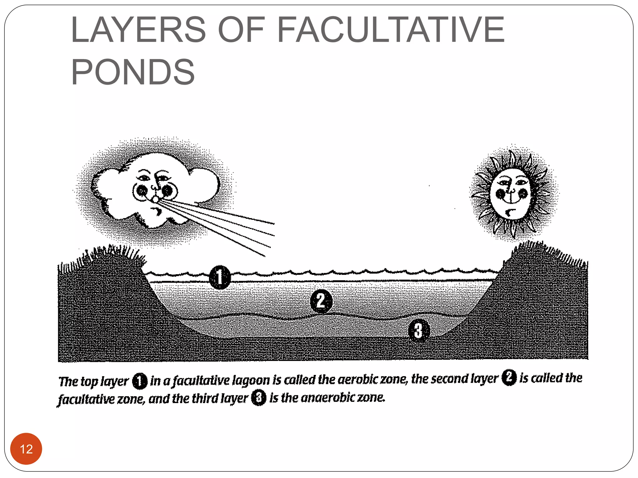 Oxidation pond | PPTX