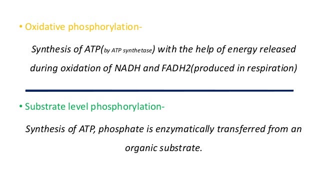 Difference between oxidative and substrate level phosphorylation | PPT
