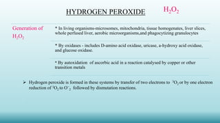 Oxidative changes in foods | PPTX