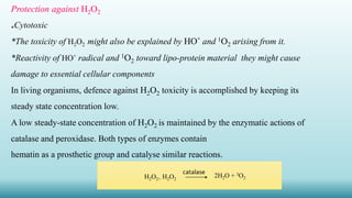 Oxidative changes in foods | PPTX