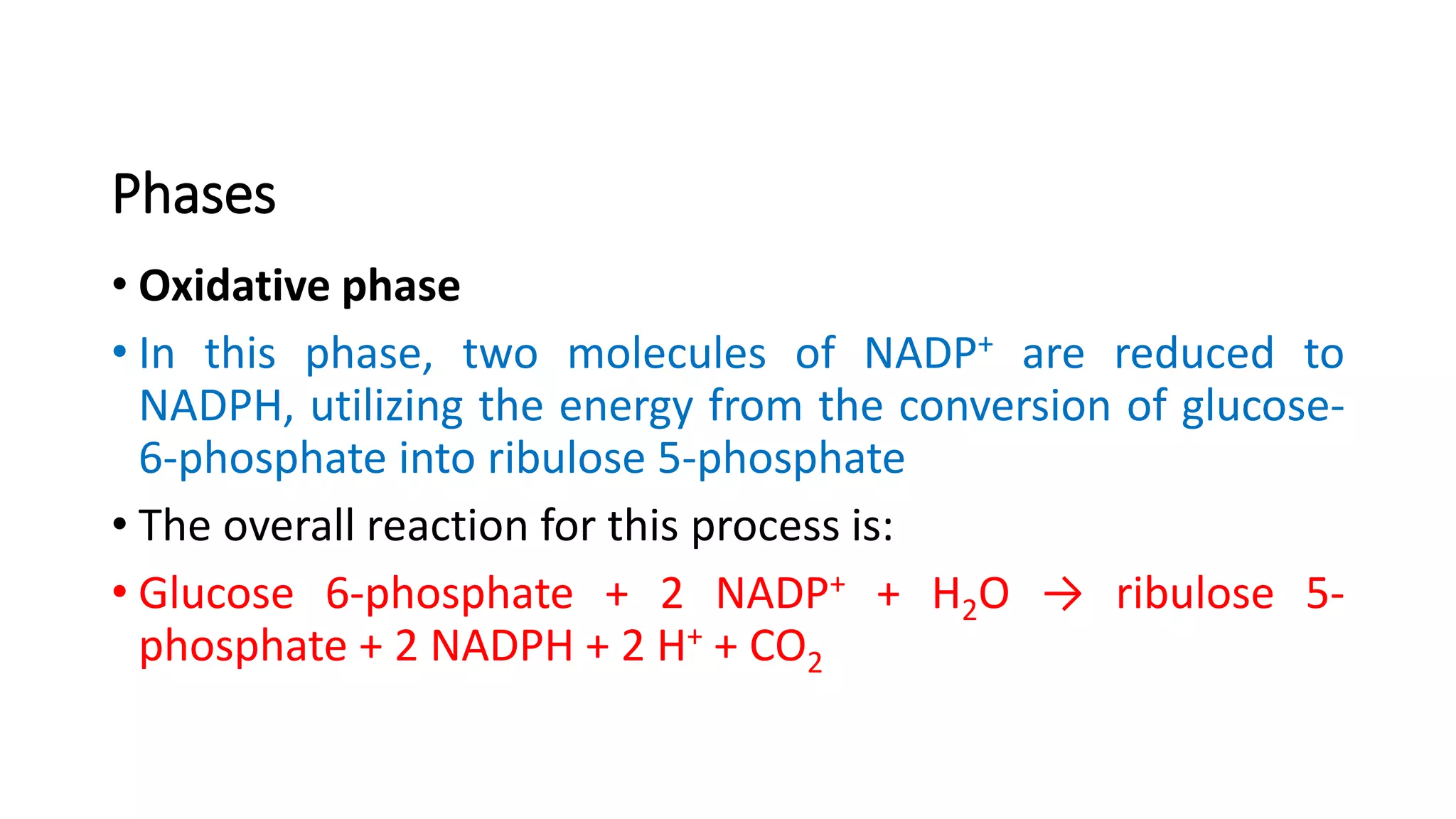 Oxidative pentose phosphate pathway | PDF