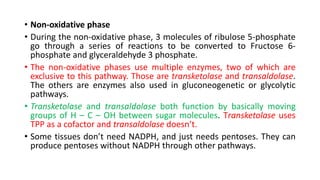 Oxidative pentose phosphate pathway | PDF