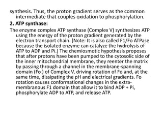 Oxidative phophorylation 25 | PPT