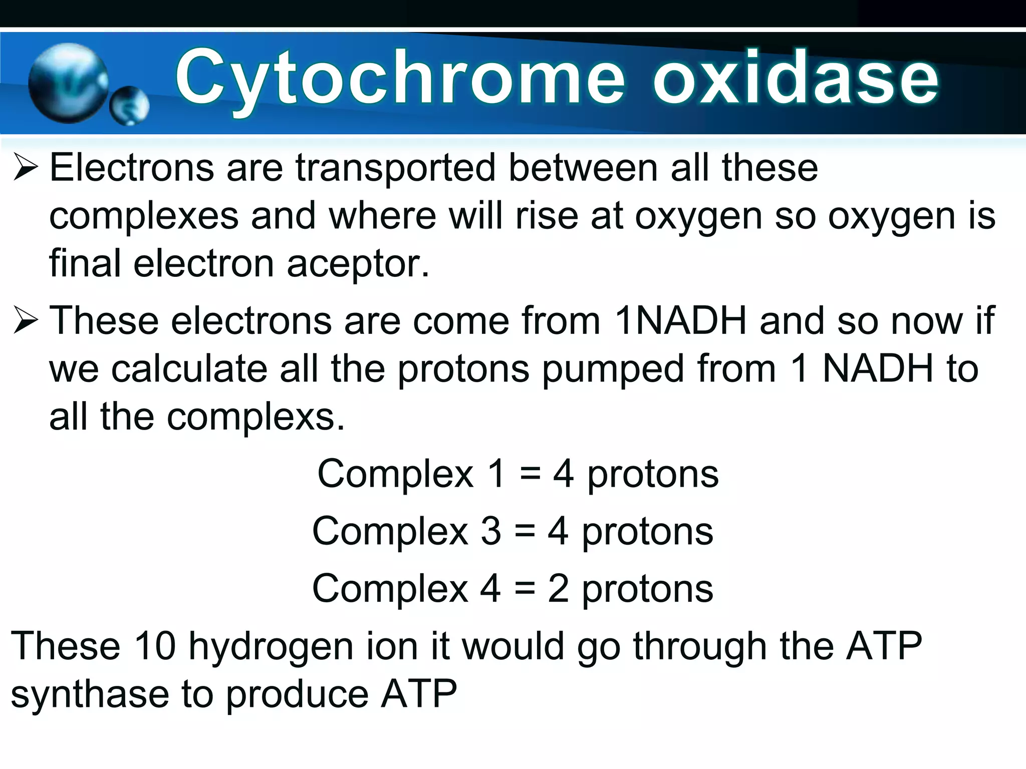 Oxidative phosphorylation | PPTX