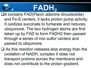 Oxidative phosphorylation | PPTX
