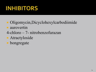 Oxidative phosphorylation | PPTX
