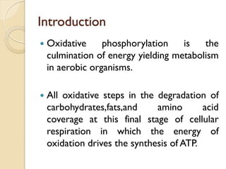Oxidative phosphorylation | PDF