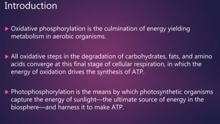 Oxidative phosphorylation | PPTX