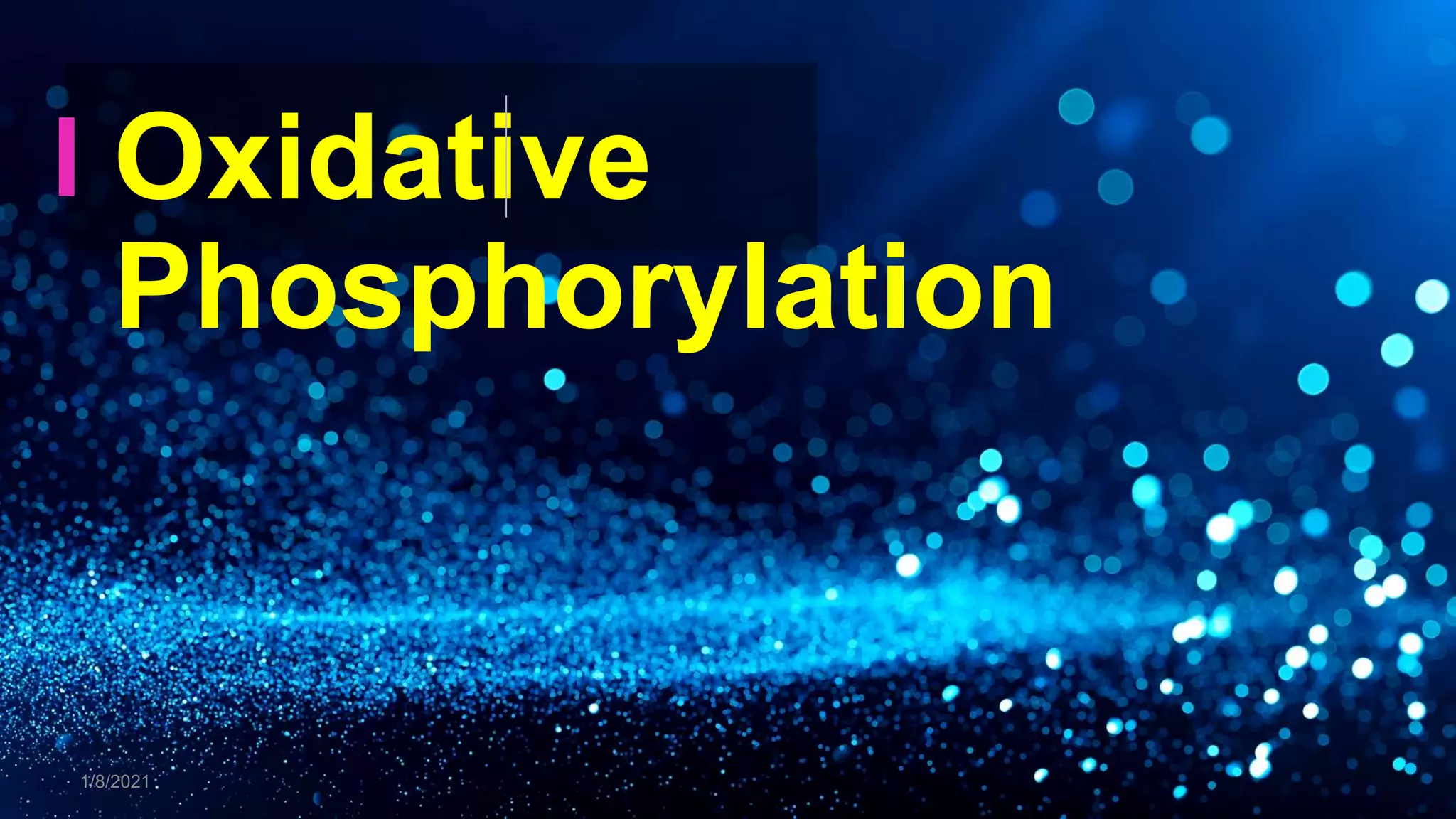 Oxidative phosphorylation | PPTX