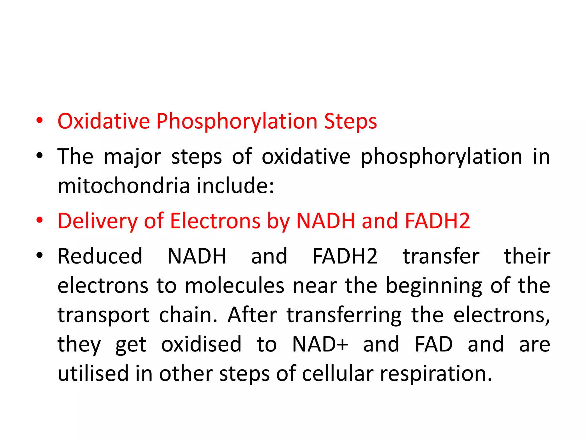OXIDATIVE PHOSPHORYLATION.pptx