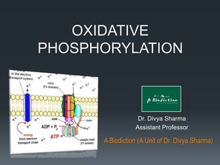 Oxidative Phosphorylation Simplified