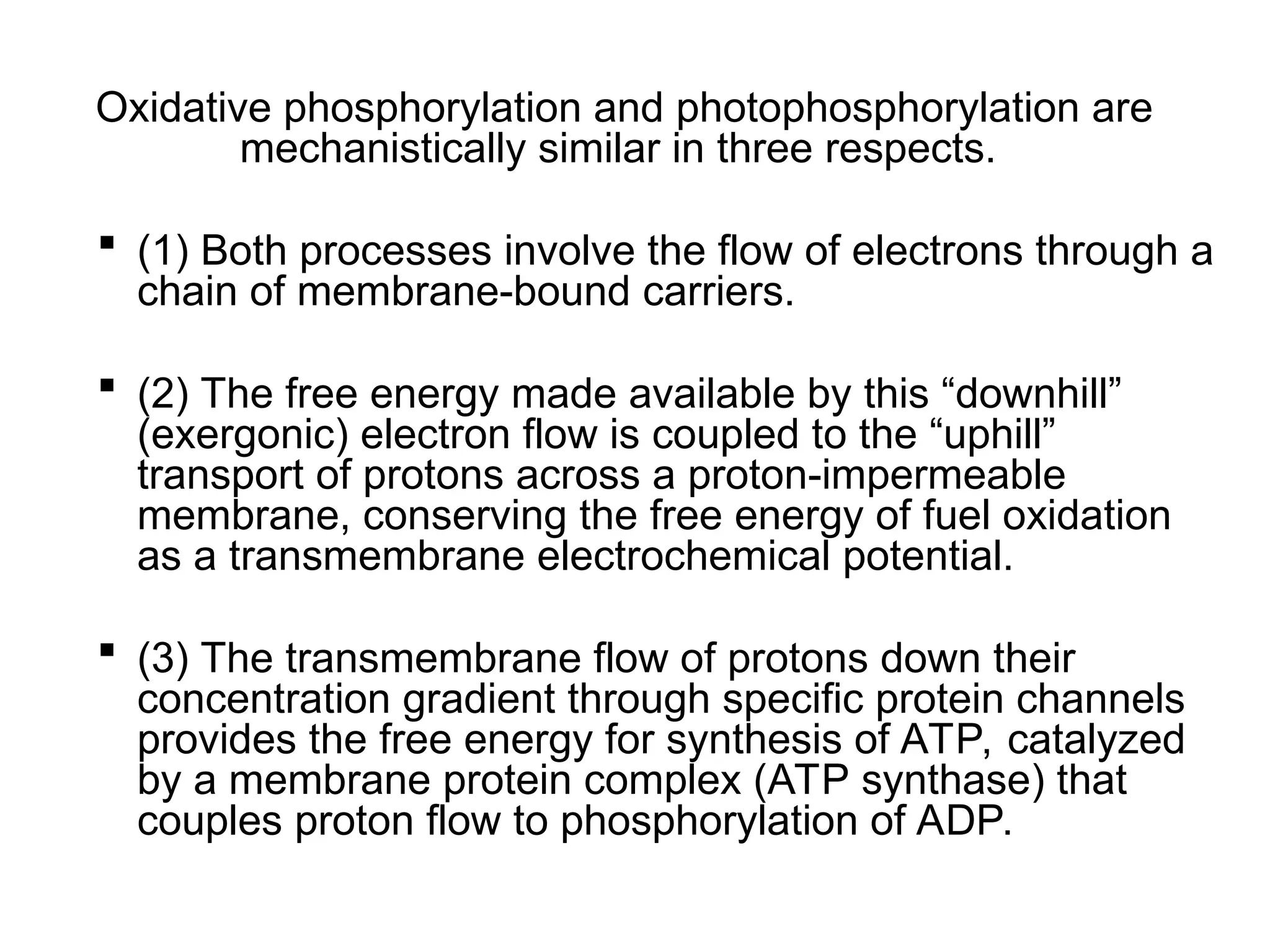 Oxidative Phosphorylation 31.05.2022.ppt | Chemistry | Science