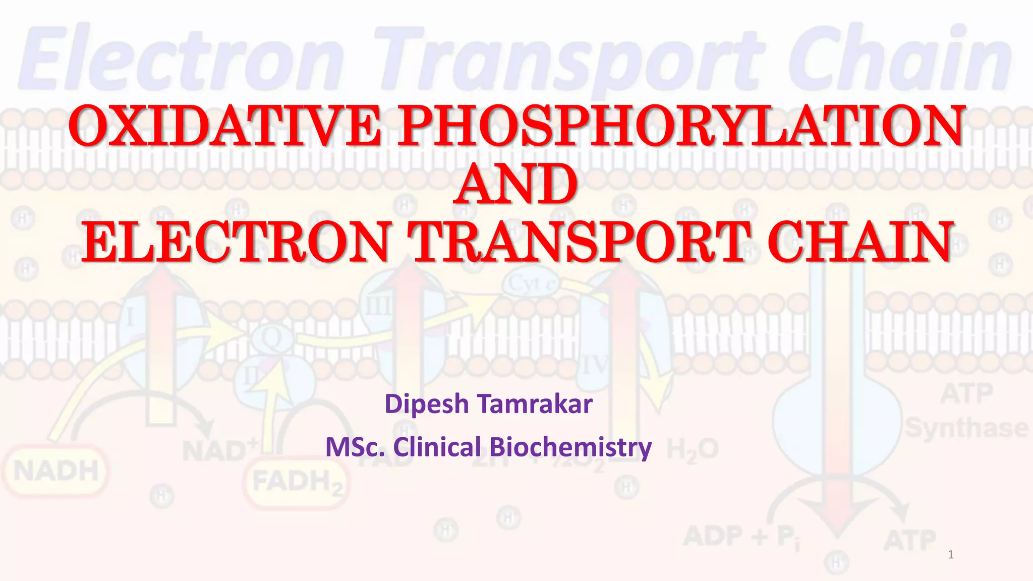 Oxidative phosphorylation and electron transport chain | PPTX