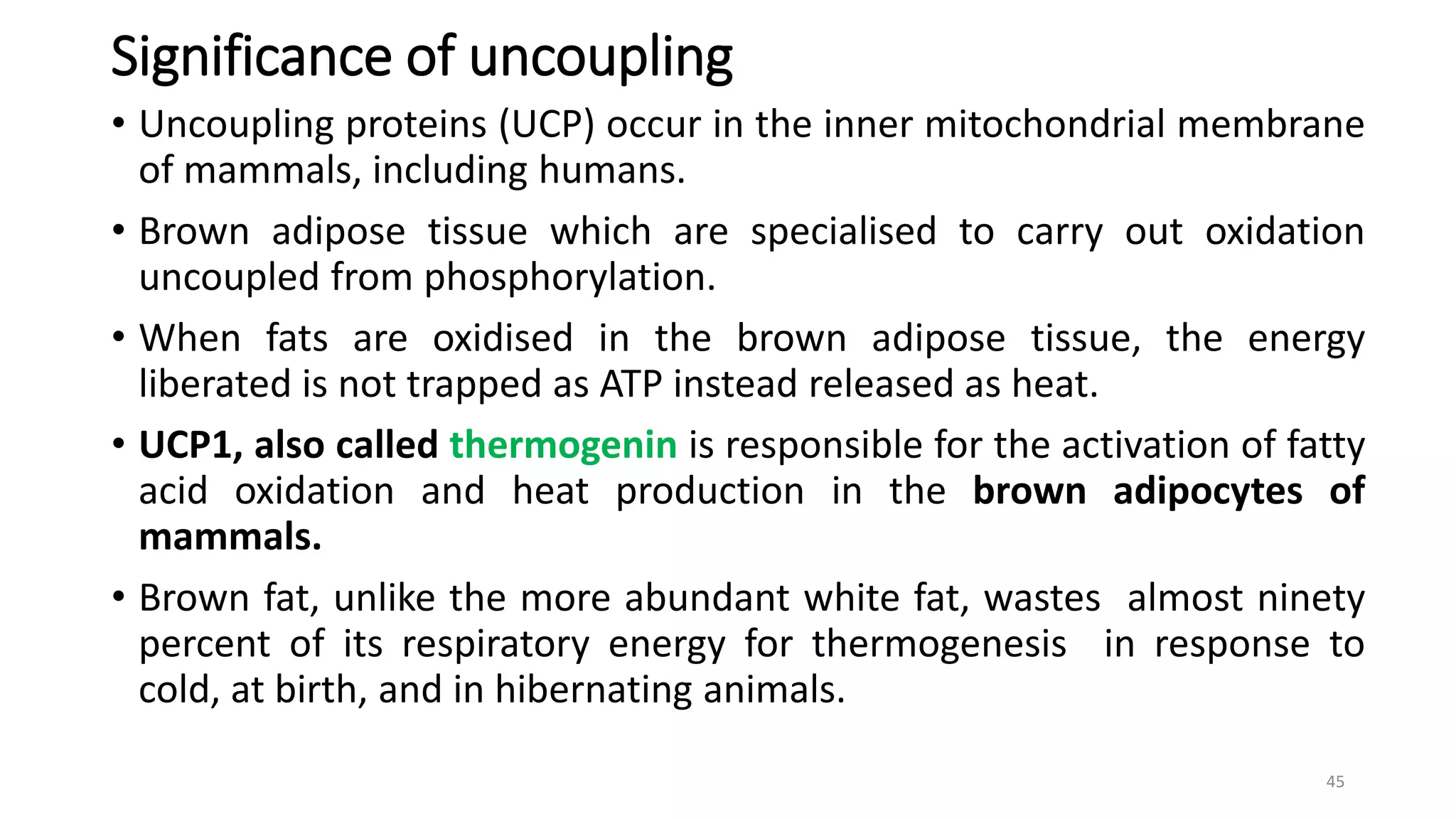 Oxidative phosphorylation and electron transport chain | PPTX