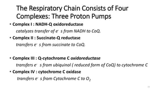 Oxidative phosphorylation and electron transport chain | PPTX