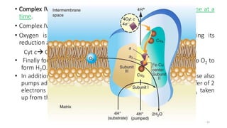 Oxidative phosphorylation and electron transport chain | PPTX