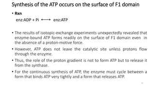 Oxidative phosphorylation and electron transport chain | PPTX