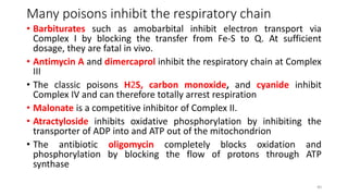 Oxidative phosphorylation and electron transport chain | PPTX