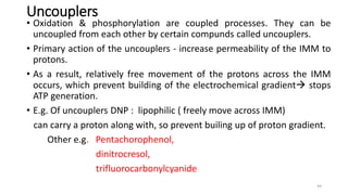 Oxidative phosphorylation and electron transport chain | PPTX