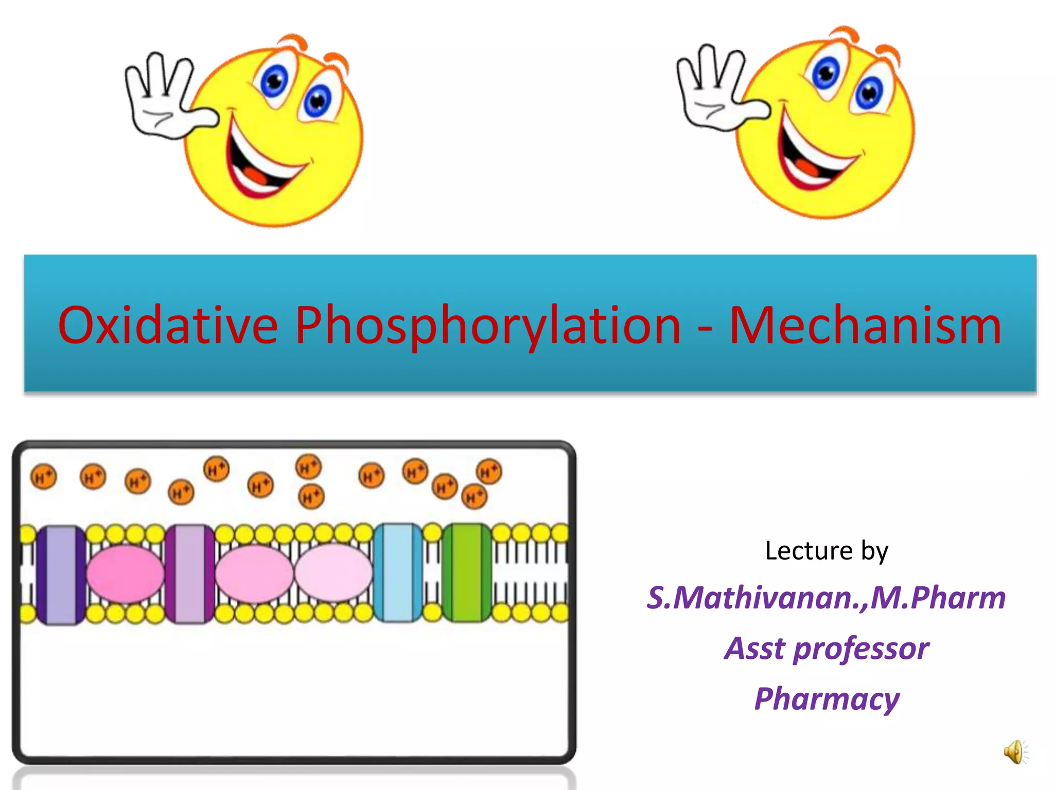 Oxidative phosphorylation and its mechanism | PPTX