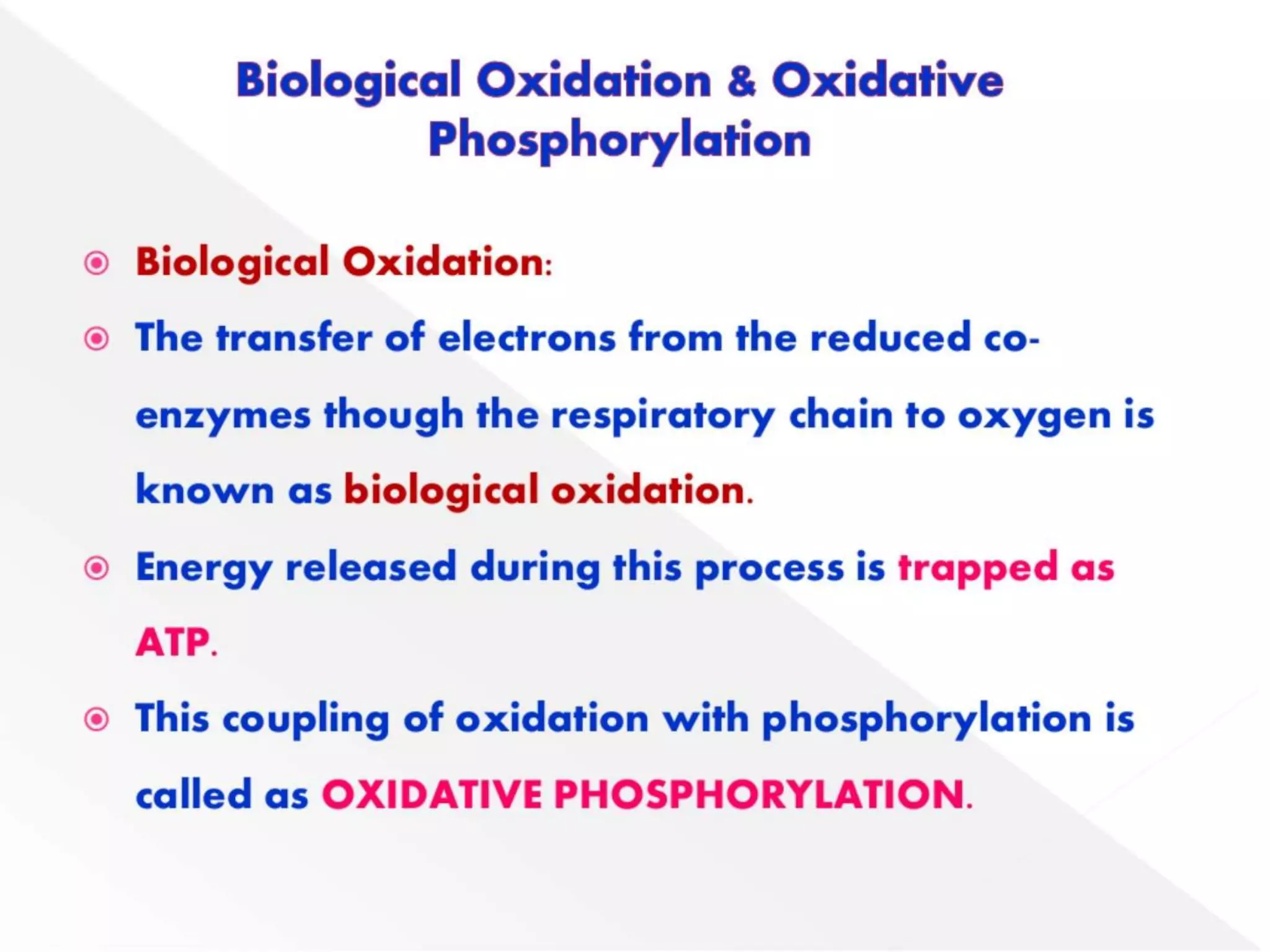 Oxidative phosphorylation and its mechanism | PPTX