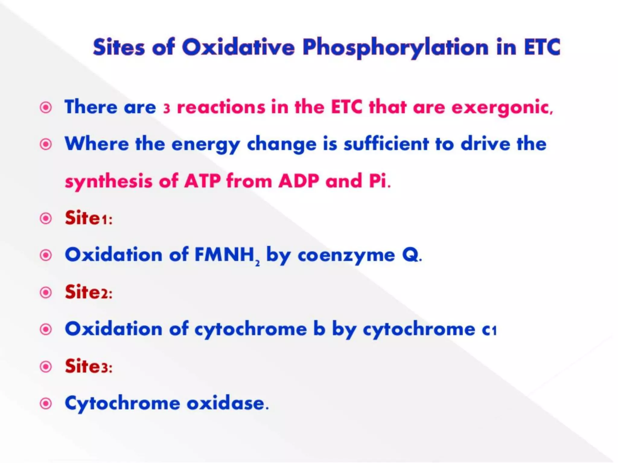 Oxidative phosphorylation and its mechanism | PPTX