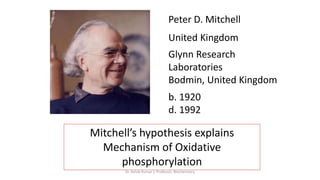 Oxidative phosphorylation by Dr. Ashok KUmar J | PPT
