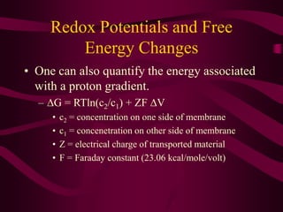 oxidative_phosporylation.ppt