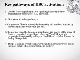 Oxidative stress and Liver fibrosis | PPT
