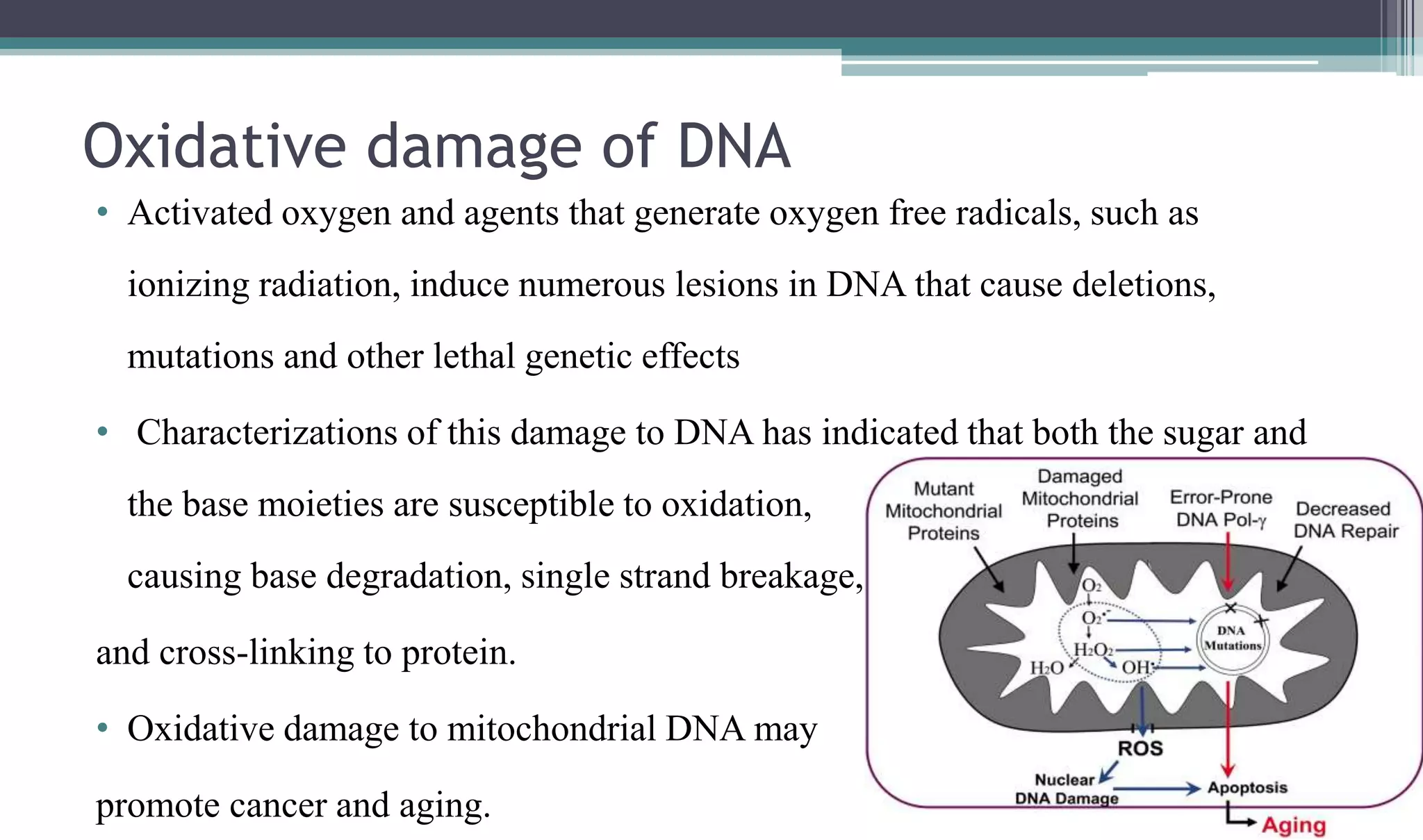 Oxidative stress | PPTX
