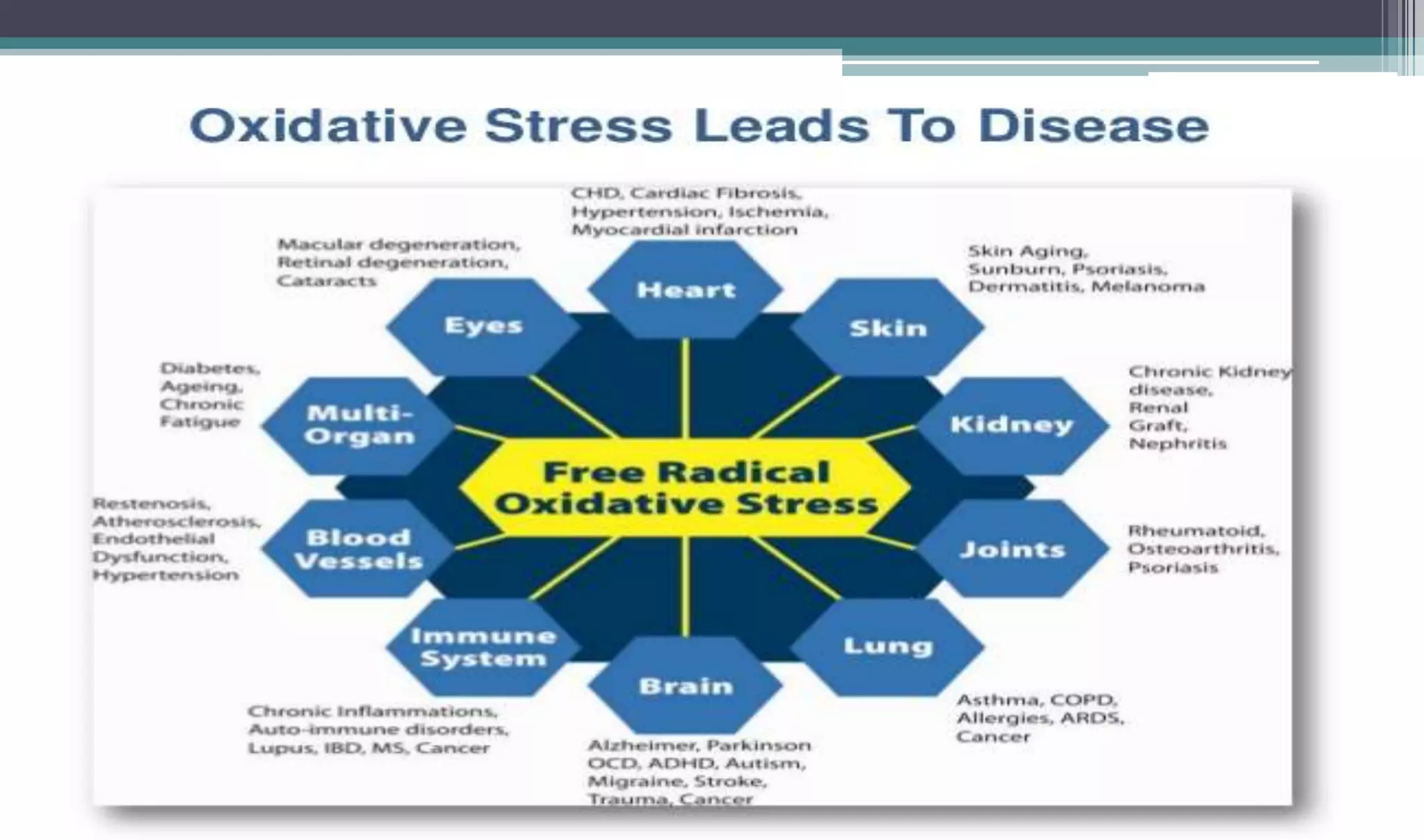 Oxidative stress | PPT