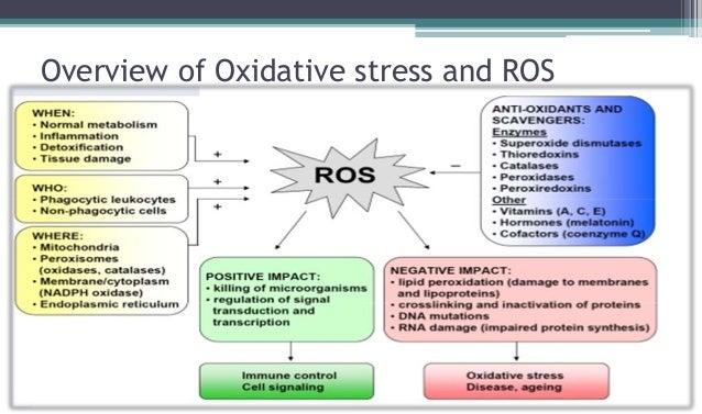 Oxidative stress