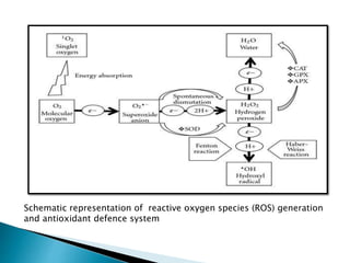 Oxidative stress | PPTX