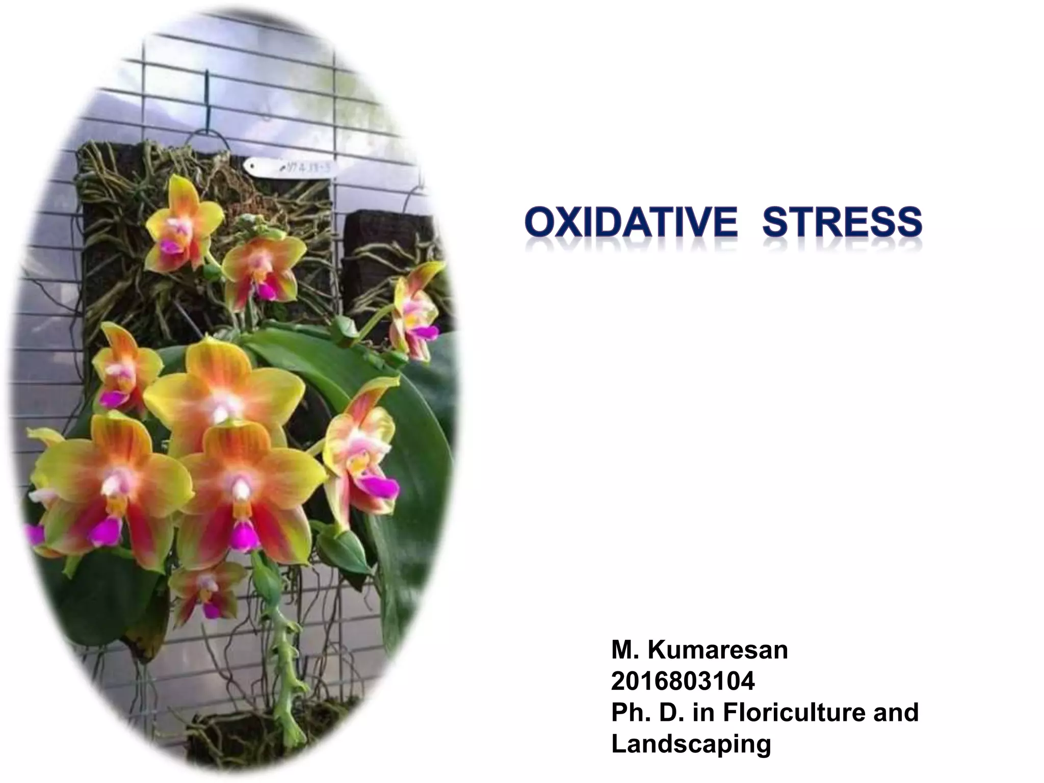 OXIDATIVE STRESS.pptx