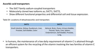Oxidative stress and mitochondria | PPTX