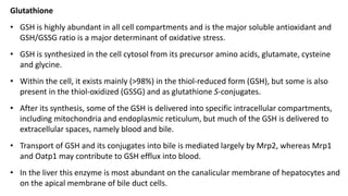 Oxidative stress and mitochondria | PPTX