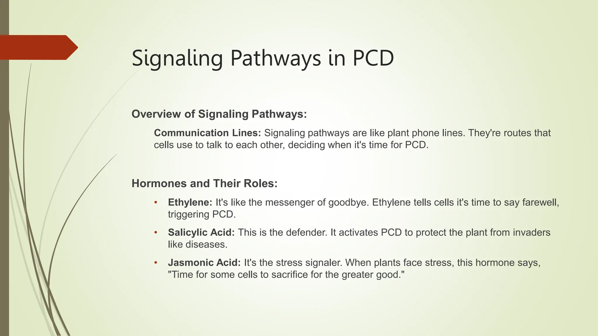 Oxidative stress and programmed cell death in plants.pptx