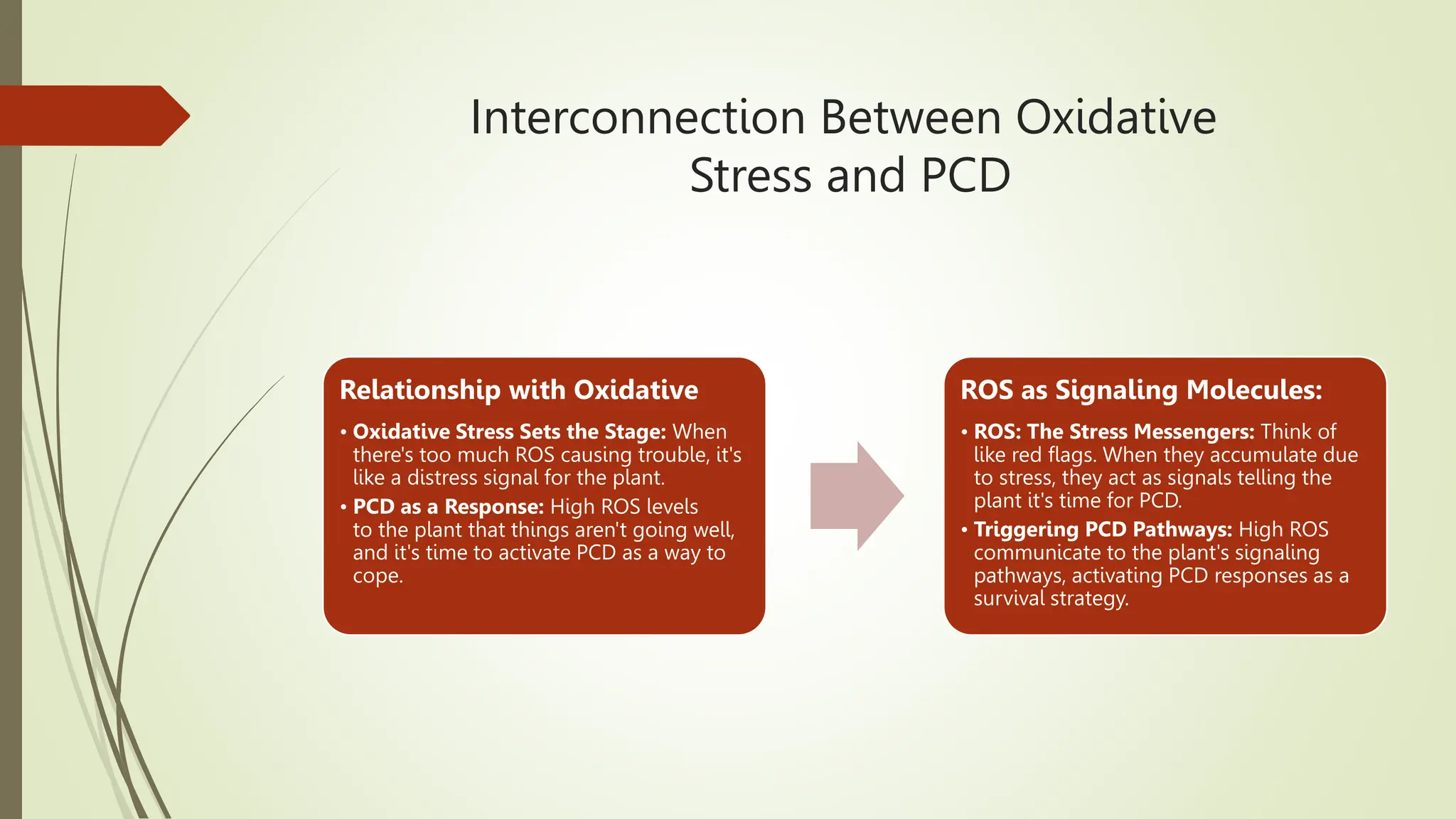 Oxidative stress and programmed cell death in plants.pptx